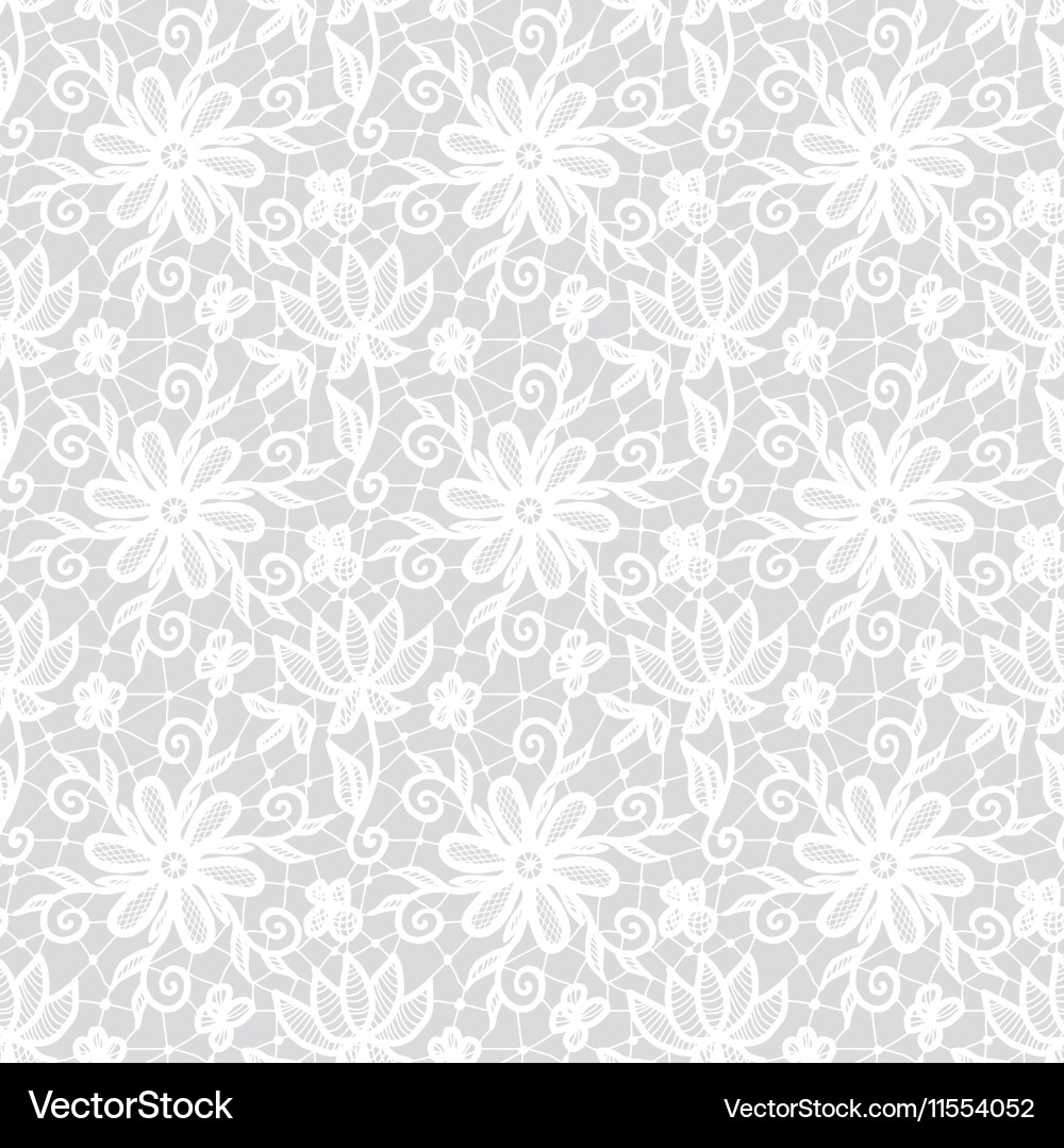 Seamless white lace Royalty Free Vector Image - VectorStock