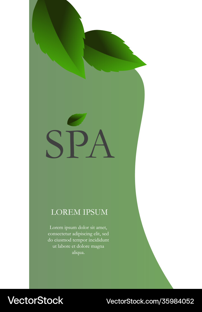 Spa lettering on white and green background Vector Image