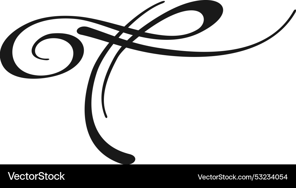 Calligraphic swoosh element ornate divider Vector Image