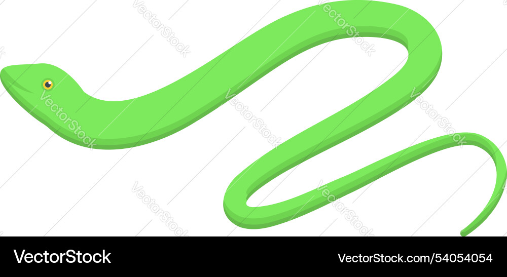 Green mamba snake slithering on white background Vector Image