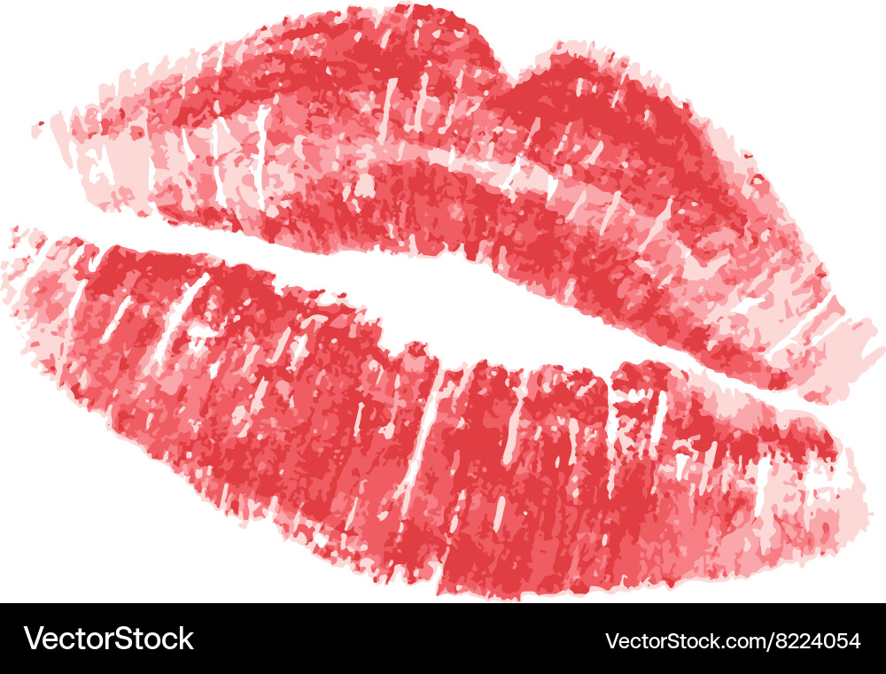 Kiss on white Royalty Free Vector Image - VectorStock