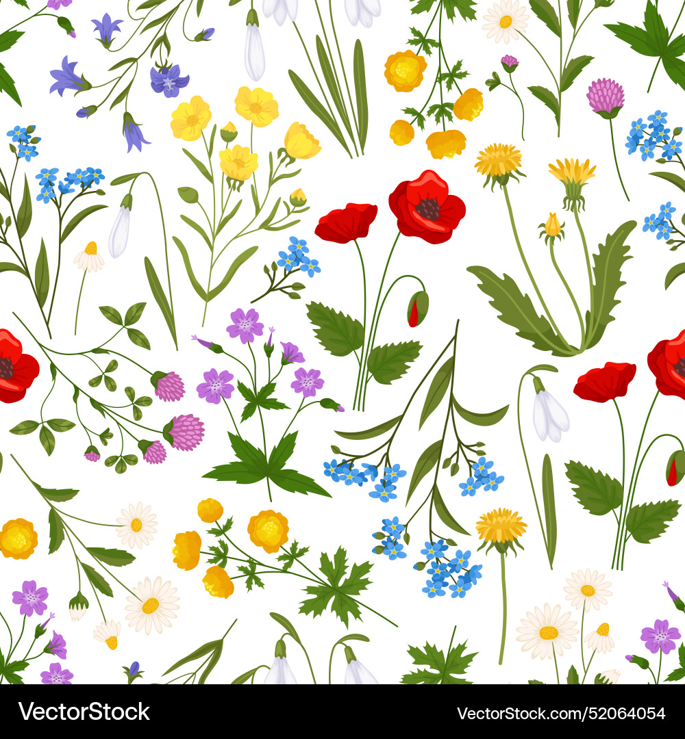 Meadow flowers seamless pattern wild summer Vector Image