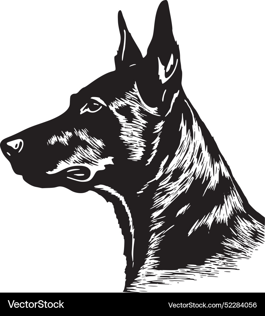 Australian kelpie - minimalist and simple Vector Image