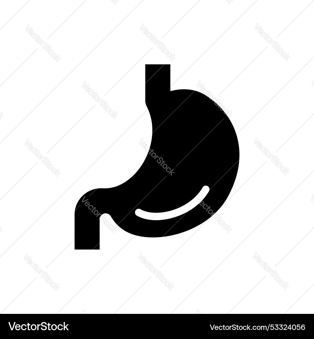 Stomach icon isolated on white background Vector Image