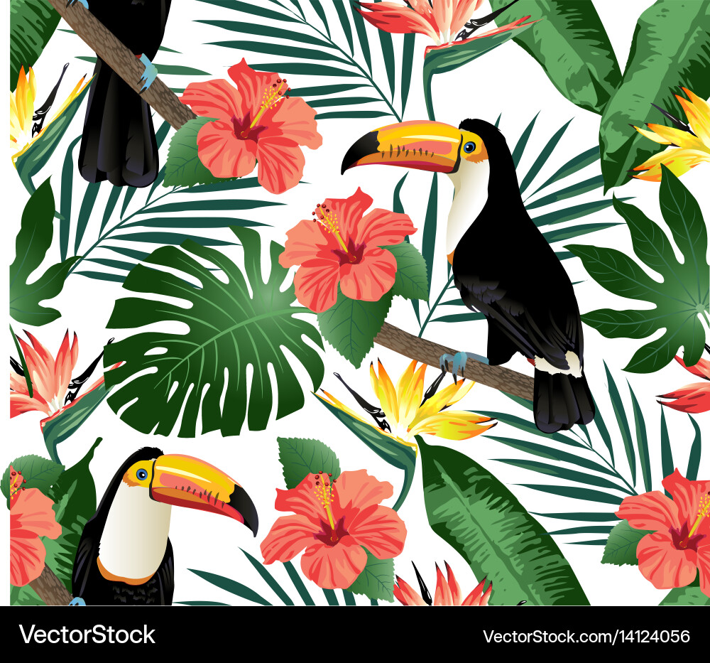 Toucan Royalty Free Vector Image - VectorStock