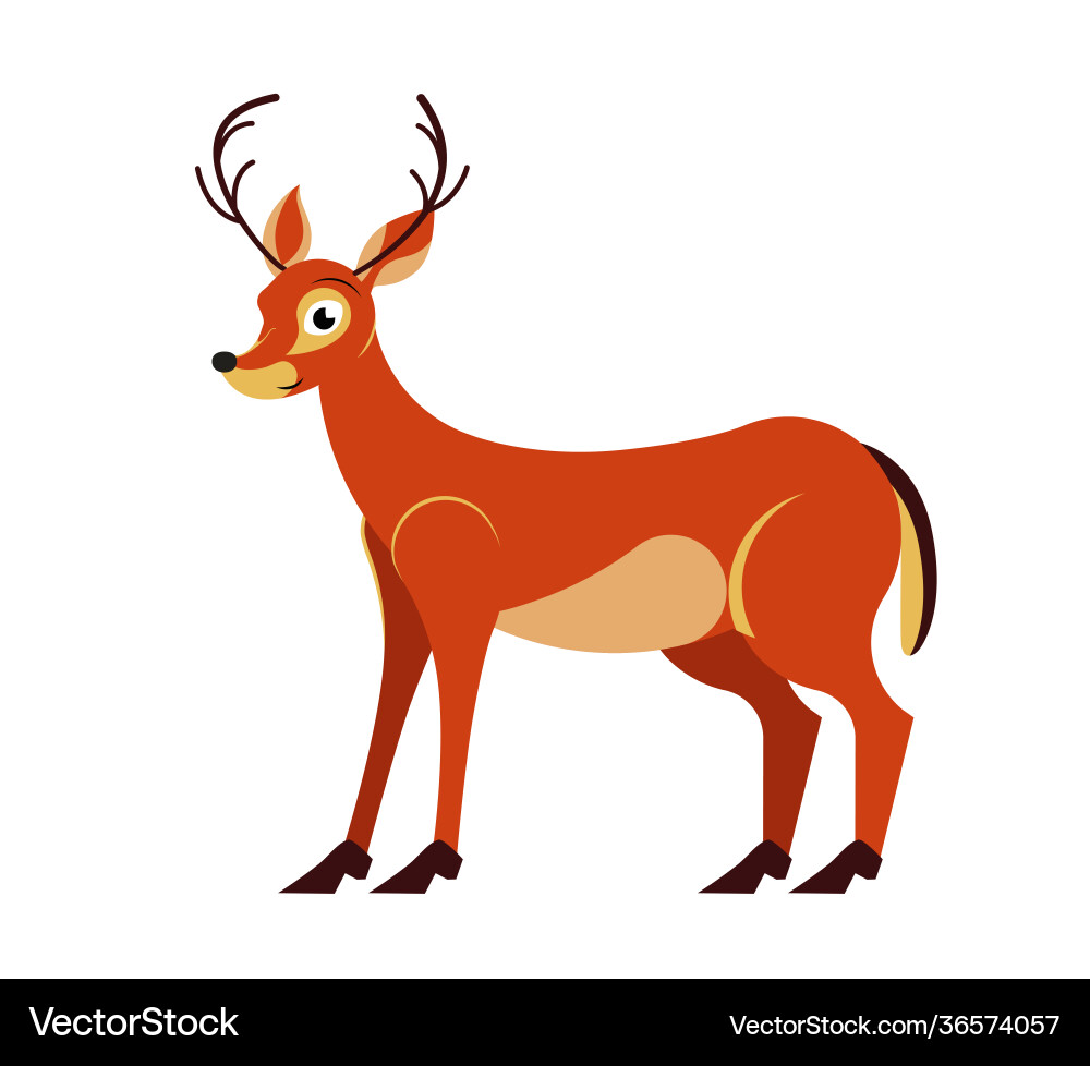 Cartoon deer in flat style isolated on white Vector Image
