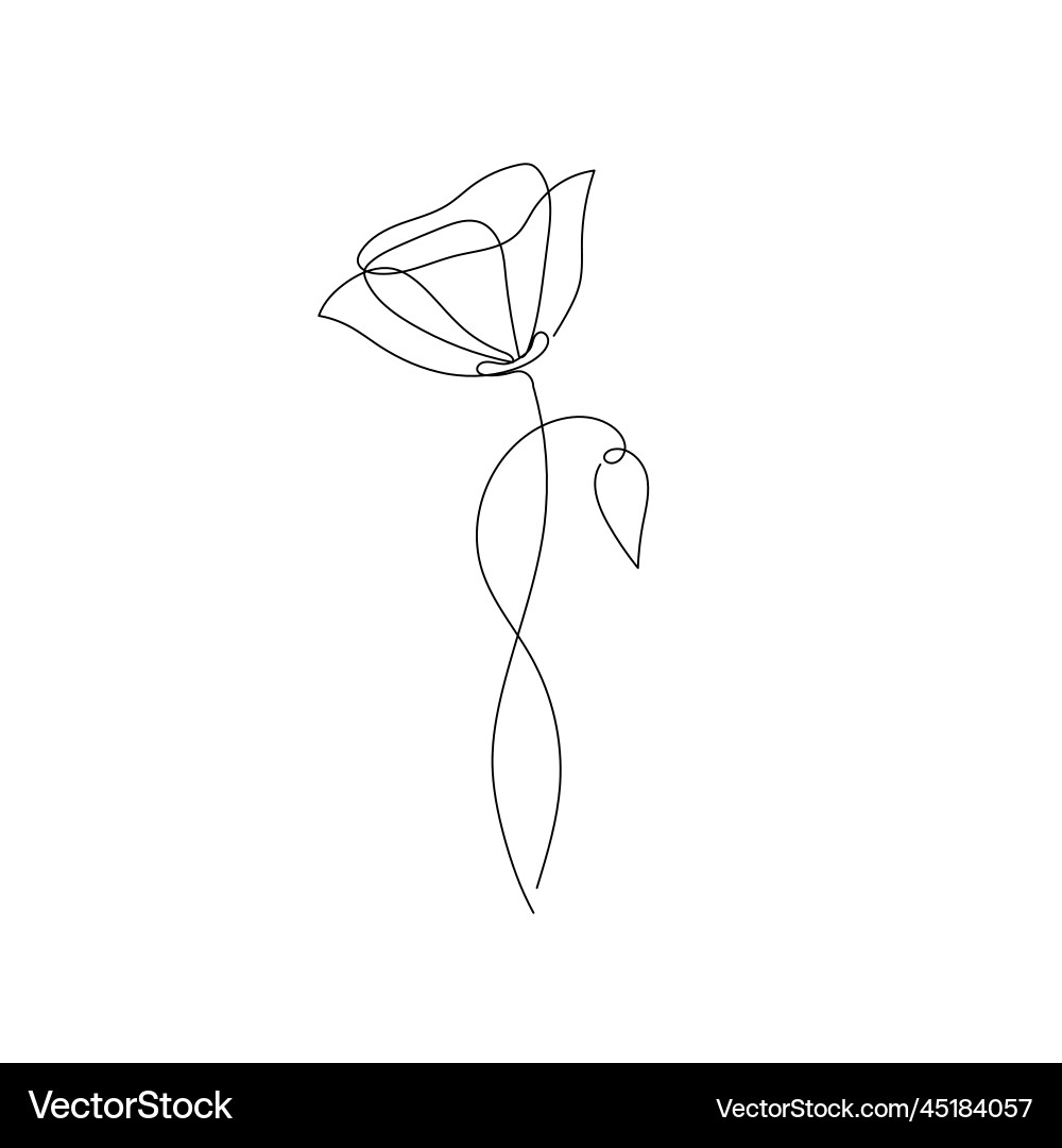 Simple poppy flower art one continuous line Vector Image