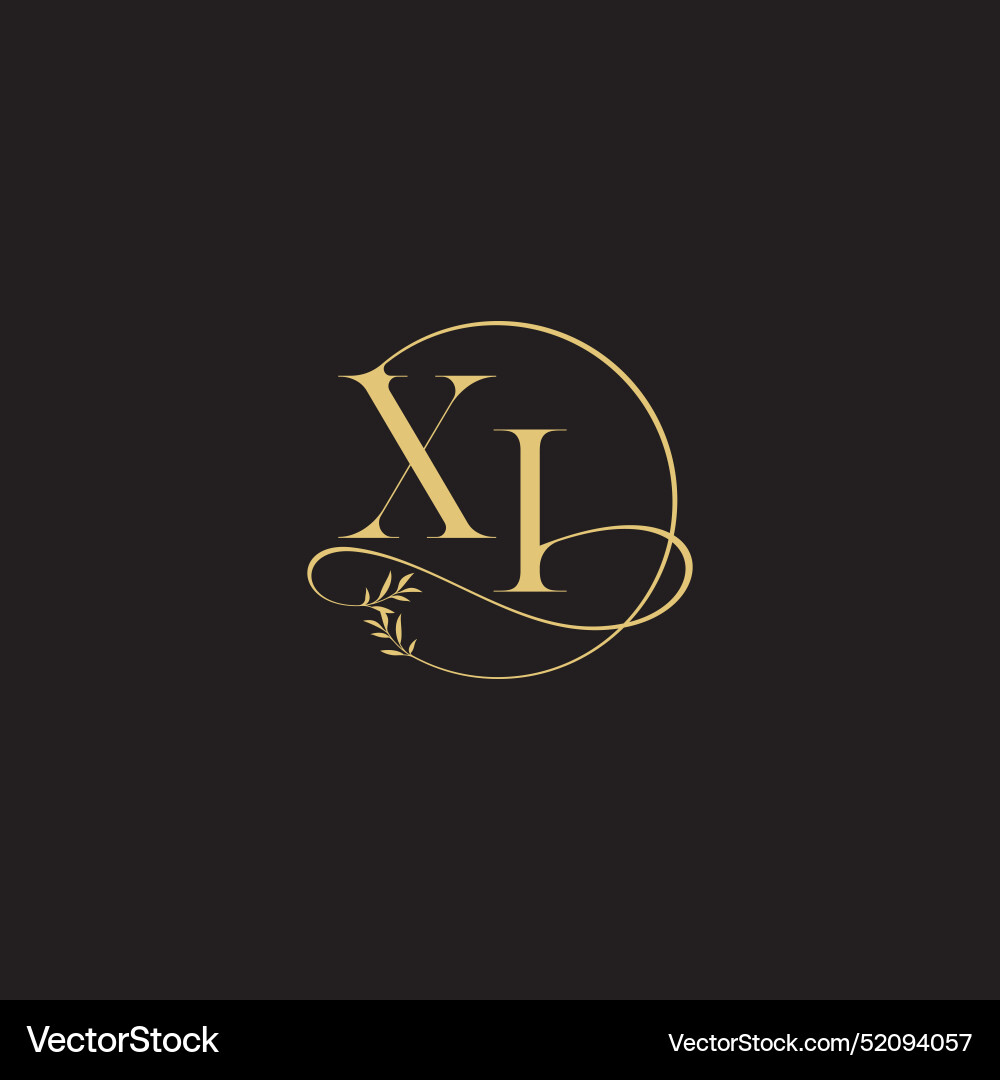 Xi letter circle and organic style luxury concept Vector Image