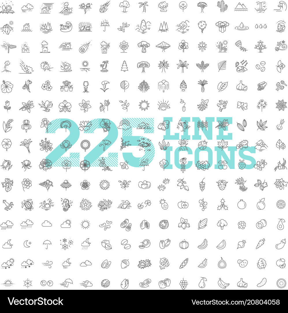 Big natural icon set Royalty Free Vector Image