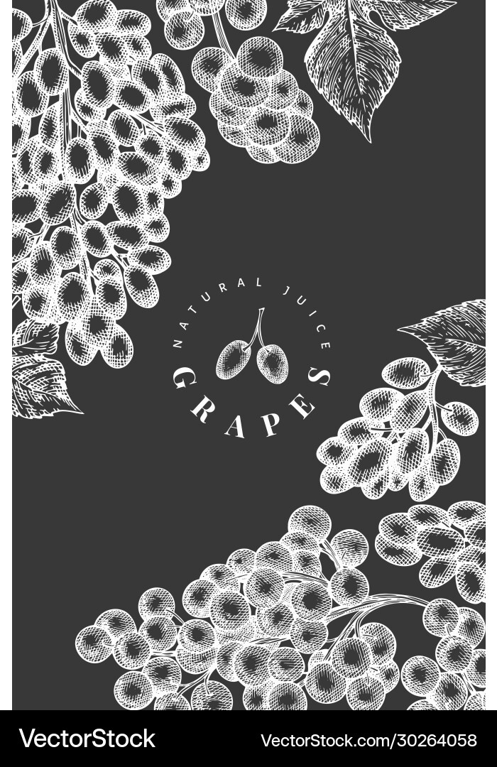 Grape design template hand drawn berry Royalty Free Vector