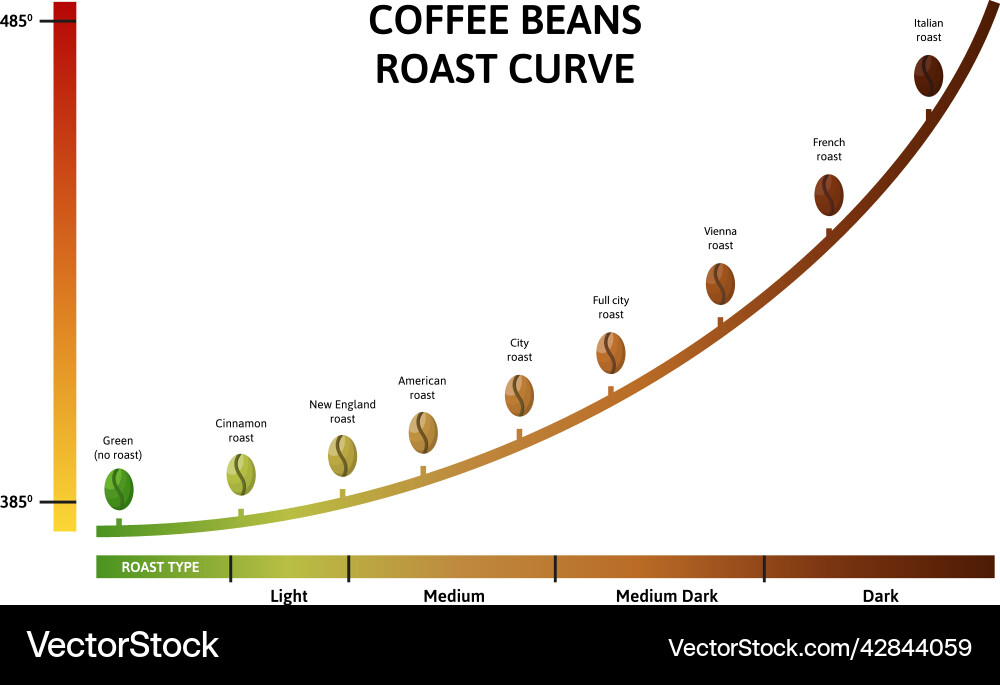 Coffee roasting levels roast curve optimal Vector Image