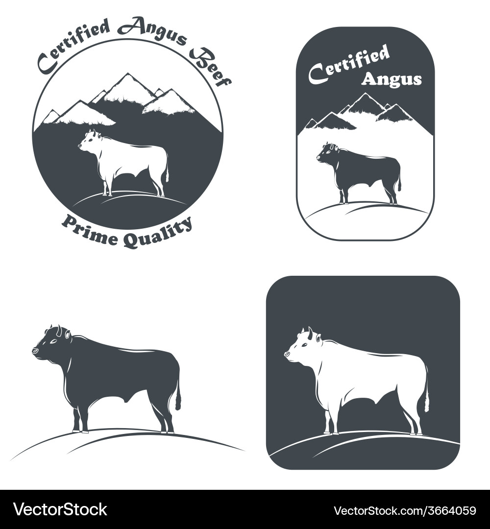Elegant Angus Bull Portrait Royalty Free Vector Image