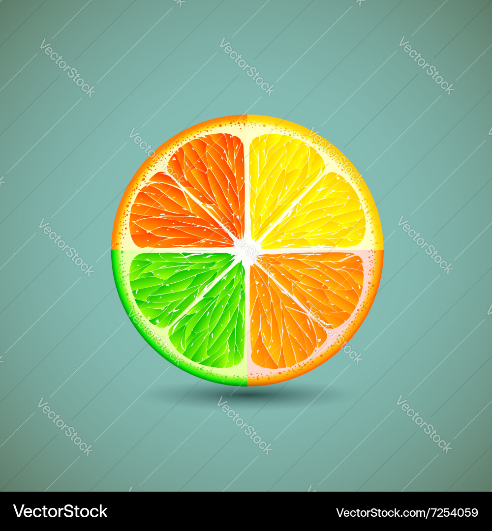 Icon citrus fruits Royalty Free Vector Image - VectorStock