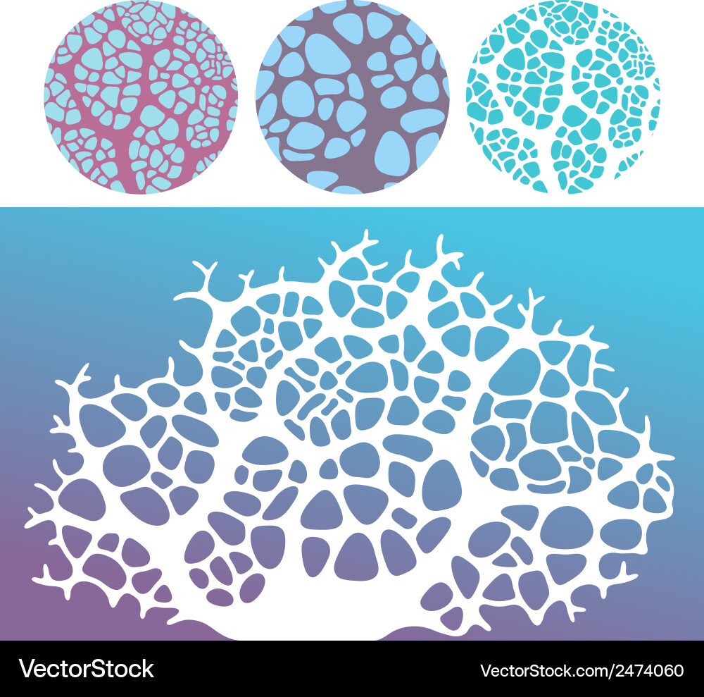 Coral Reef Pattern Royalty Free Vector Image - VectorStock