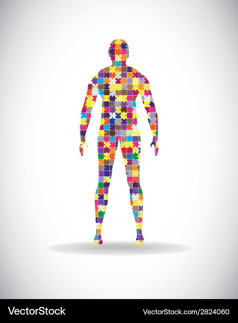 Male body Royalty Free Vector Image - VectorStock