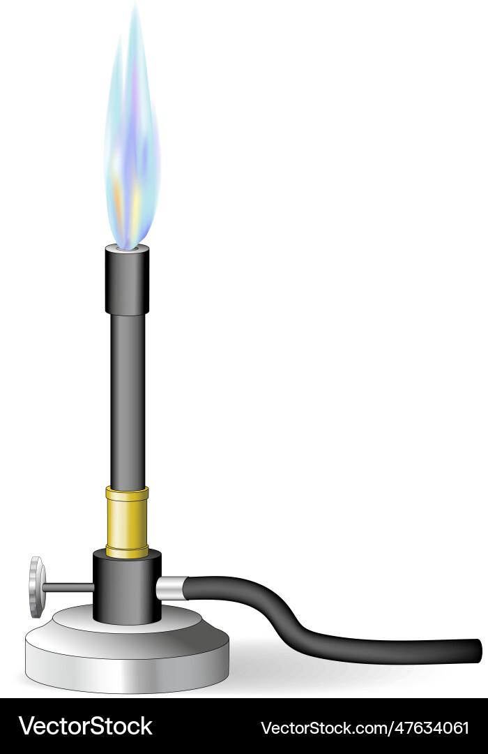 Bunsen burner with flame laboratory equipment Vector Image