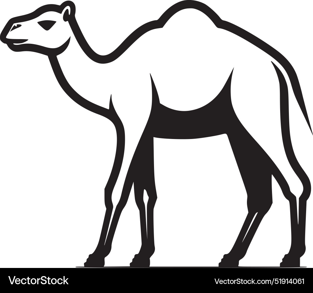 Camel - minimalist and simple silhouette Vector Image