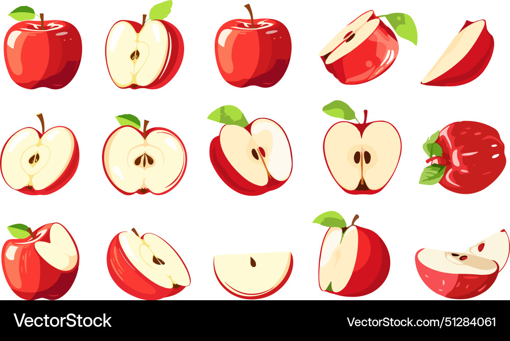 Cartoon apple in different angles cutted Vector Image