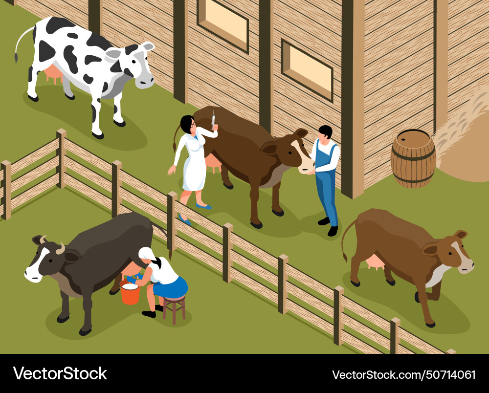 Farm veterinary isometric composition Royalty Free Vector