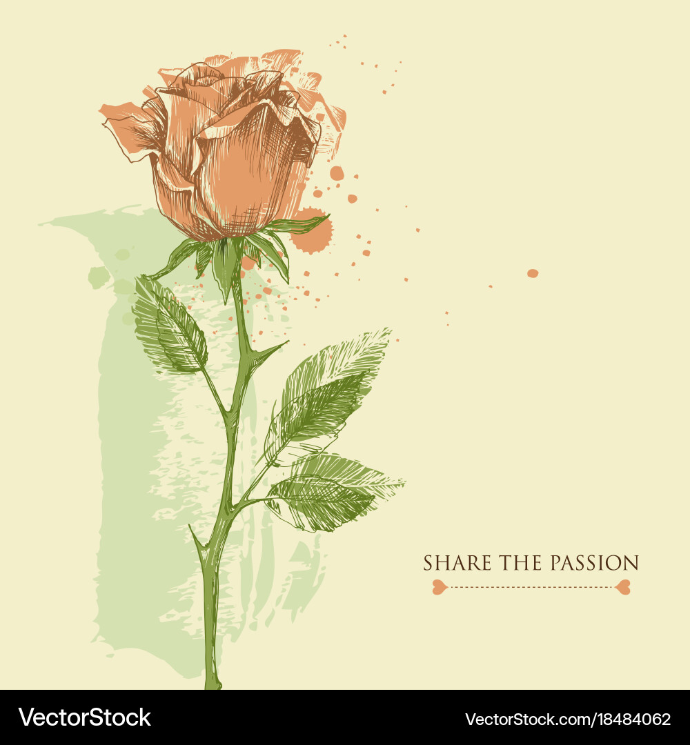 Love greeting card single rose paint Royalty Free Vector