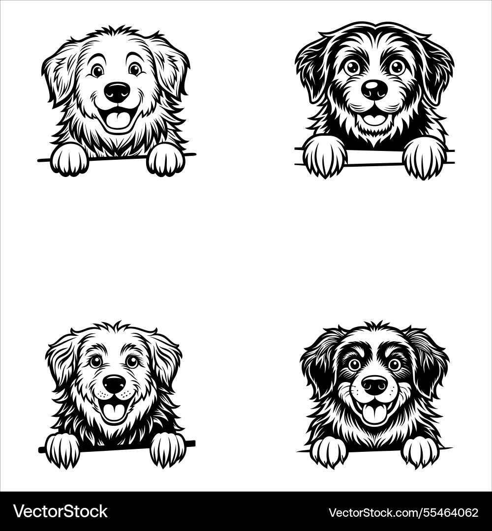 Peeking great pyrenees dog Royalty Free Vector Image