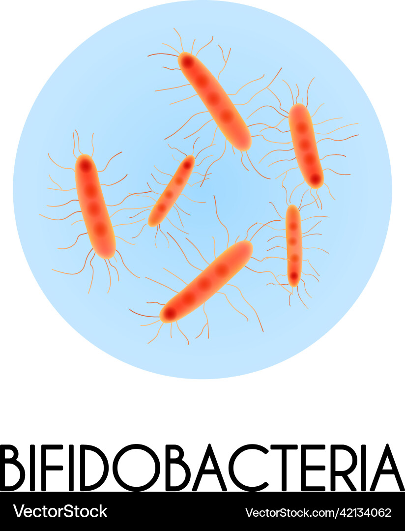 Realistic bacteria Royalty Free Vector Image - VectorStock