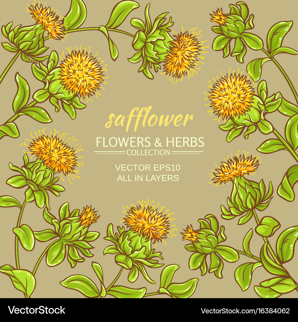 Safflower frame Royalty Free Vector Image - VectorStock