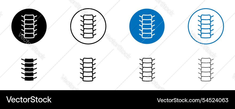 Spinal column icon Royalty Free Vector Image - VectorStock