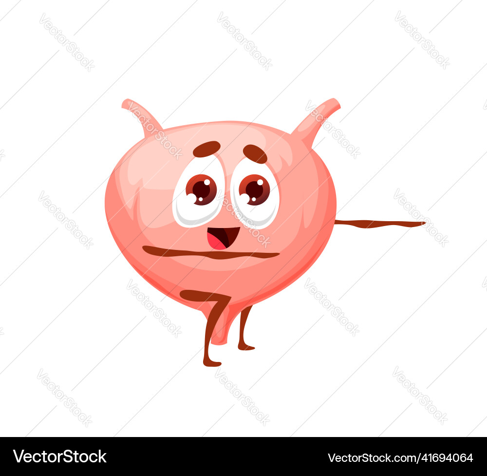 Cartoon Bladder Character Royalty Free Vector Image
