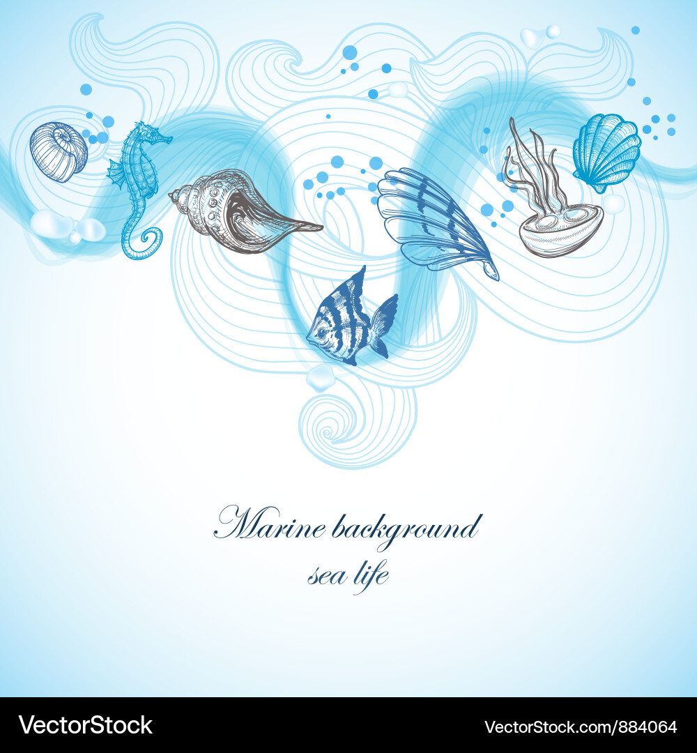 Marine background Royalty Free Vector Image - VectorStock