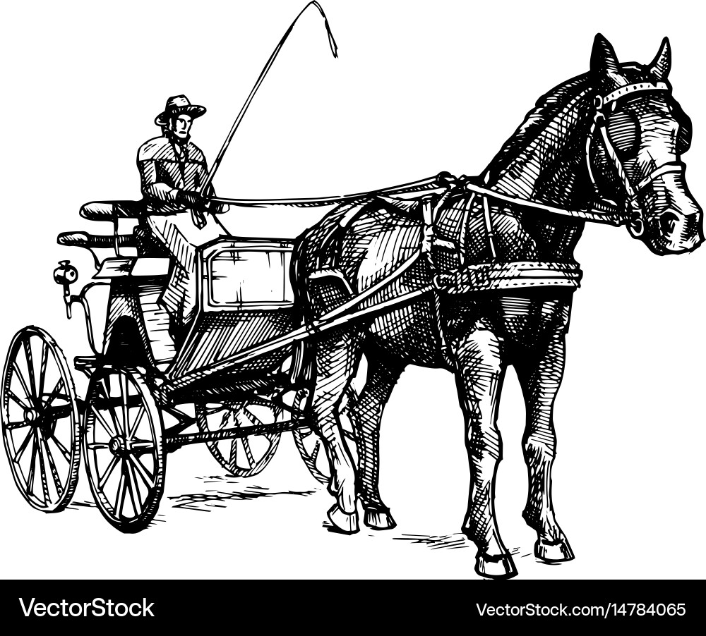 Vintage Spider Phaeton Carriage Royalty Free Vector Image