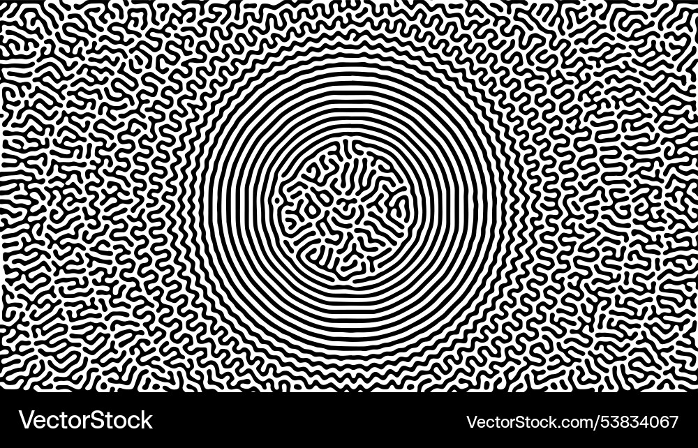 Geometric optical art with intricate wavy lines Vector Image