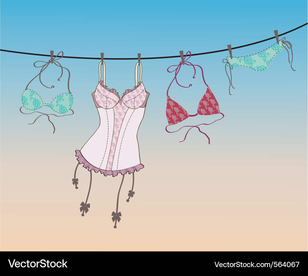 Lingerie on Rope Royalty Free Vector Image - VectorStock