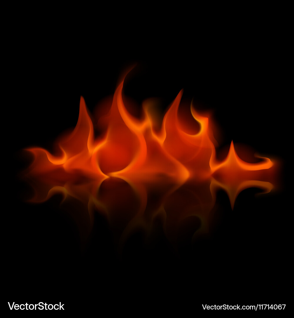 Red fire flame bonfire isolated on background Vector Image