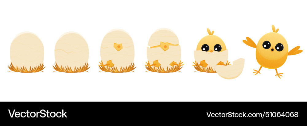 Chicken hatching stages cartoon winged chick Vector Image