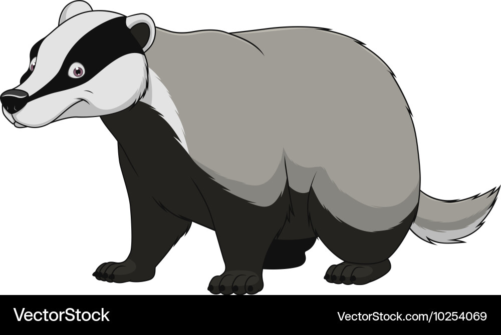Adult funny badger Royalty Free Vector Image - VectorStock