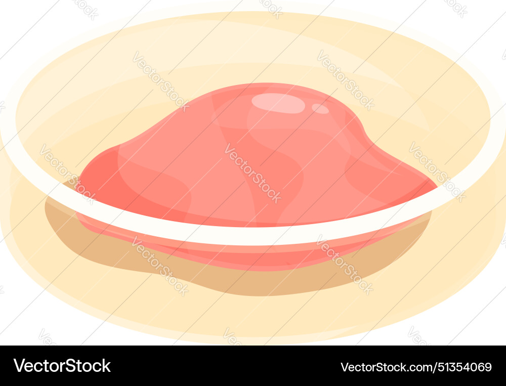 Raw meat on plate Royalty Free Vector Image - VectorStock