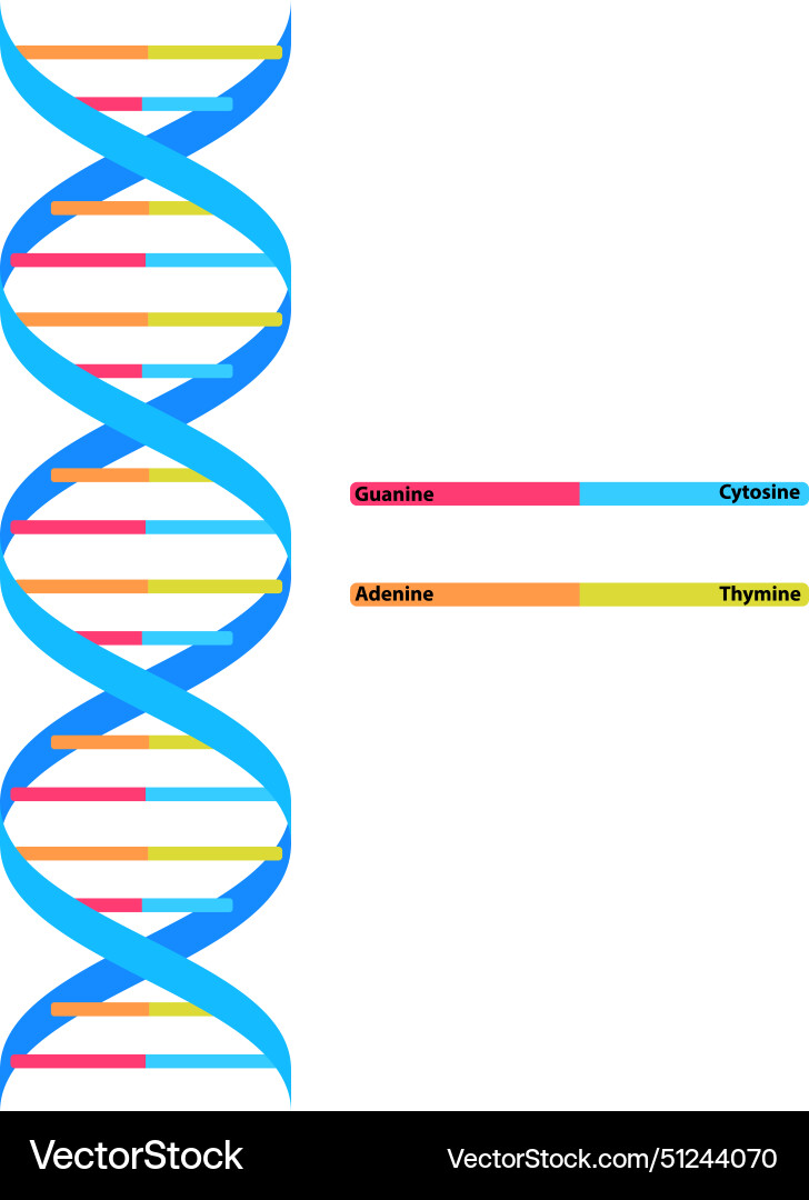 Dna design in medical scientific Royalty Free Vector Image