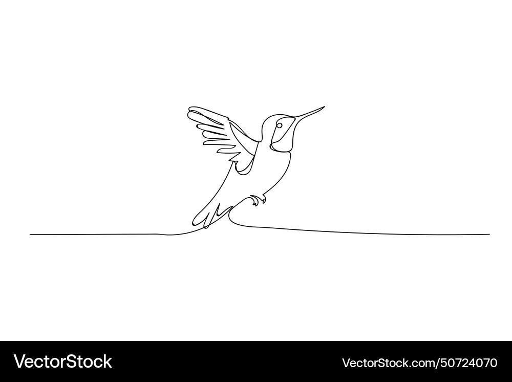 Hummingbird bird black line drawing one Royalty Free Vector