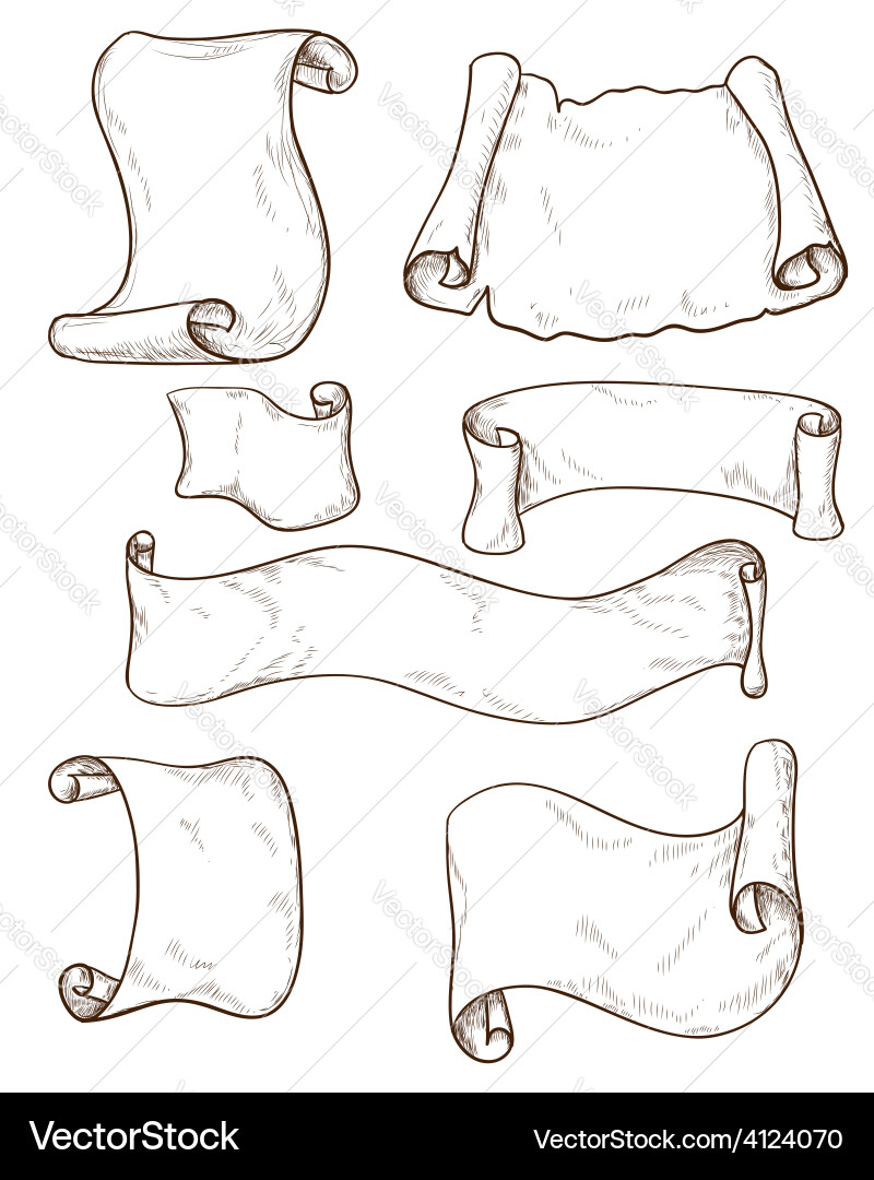 Sketch rolls Royalty Free Vector Image - VectorStock