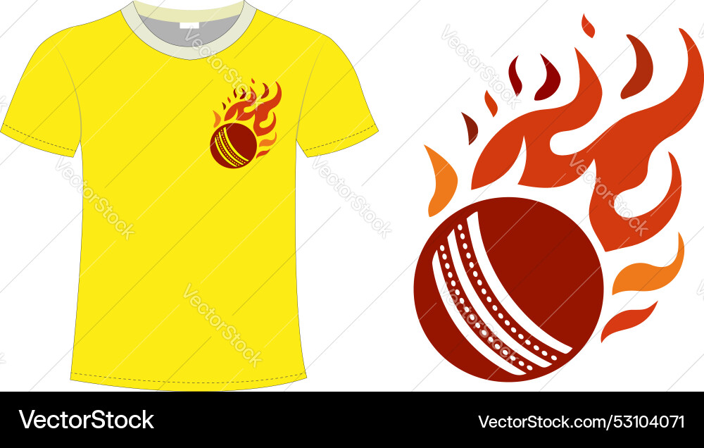 Flaming cricket brining ball creative t shirt Vector Image
