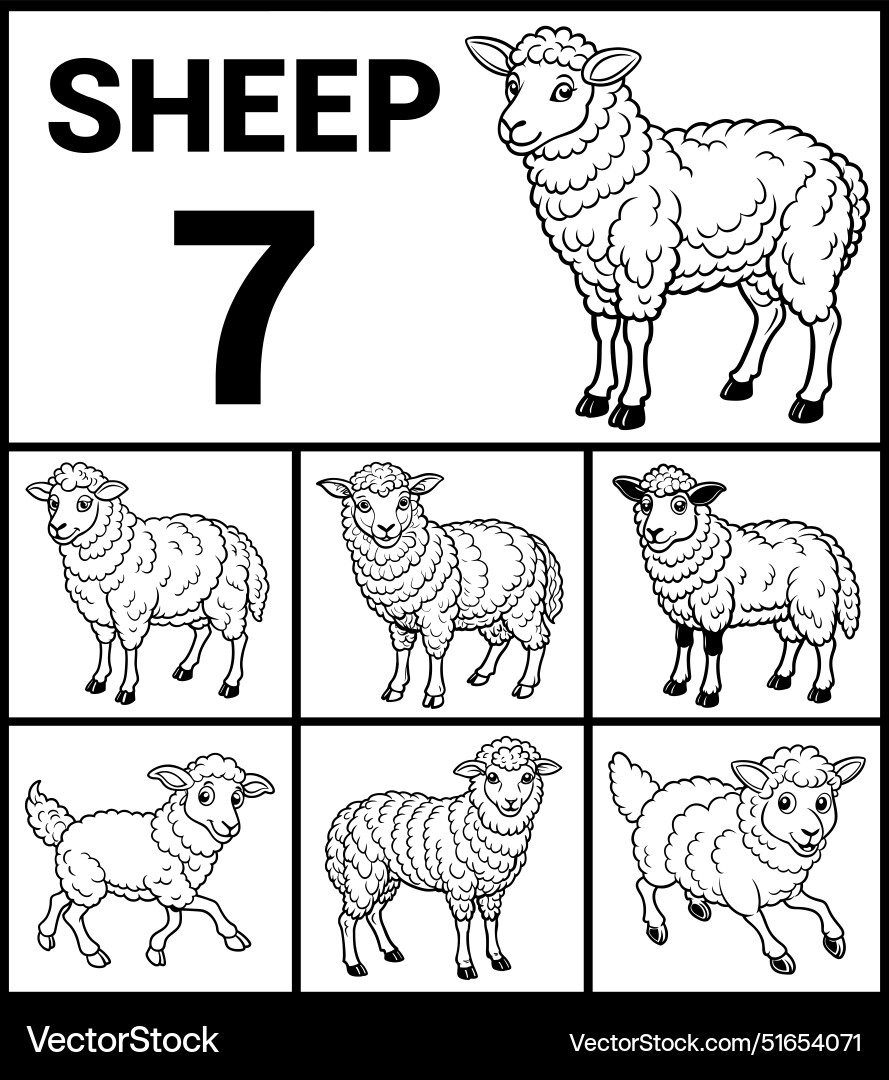 Sheep outline set detailed Royalty Free Vector Image