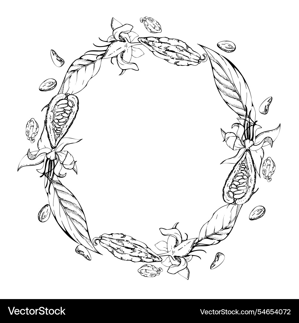 Coffee cocoa cacao beans flowers leaves seed Vector Image