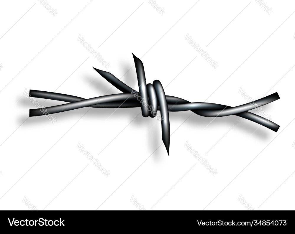 Barbed wire realistic icon metallic logo isolated Vector Image