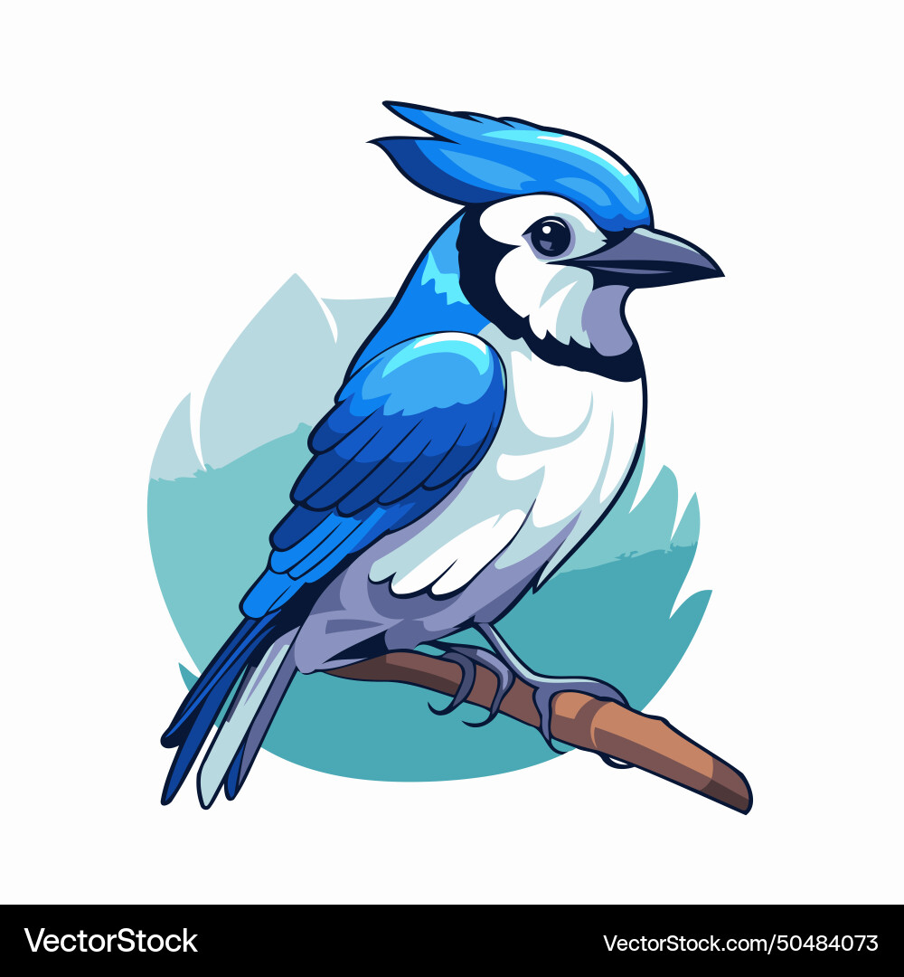 Blue jay bird isolated on white background Vector Image