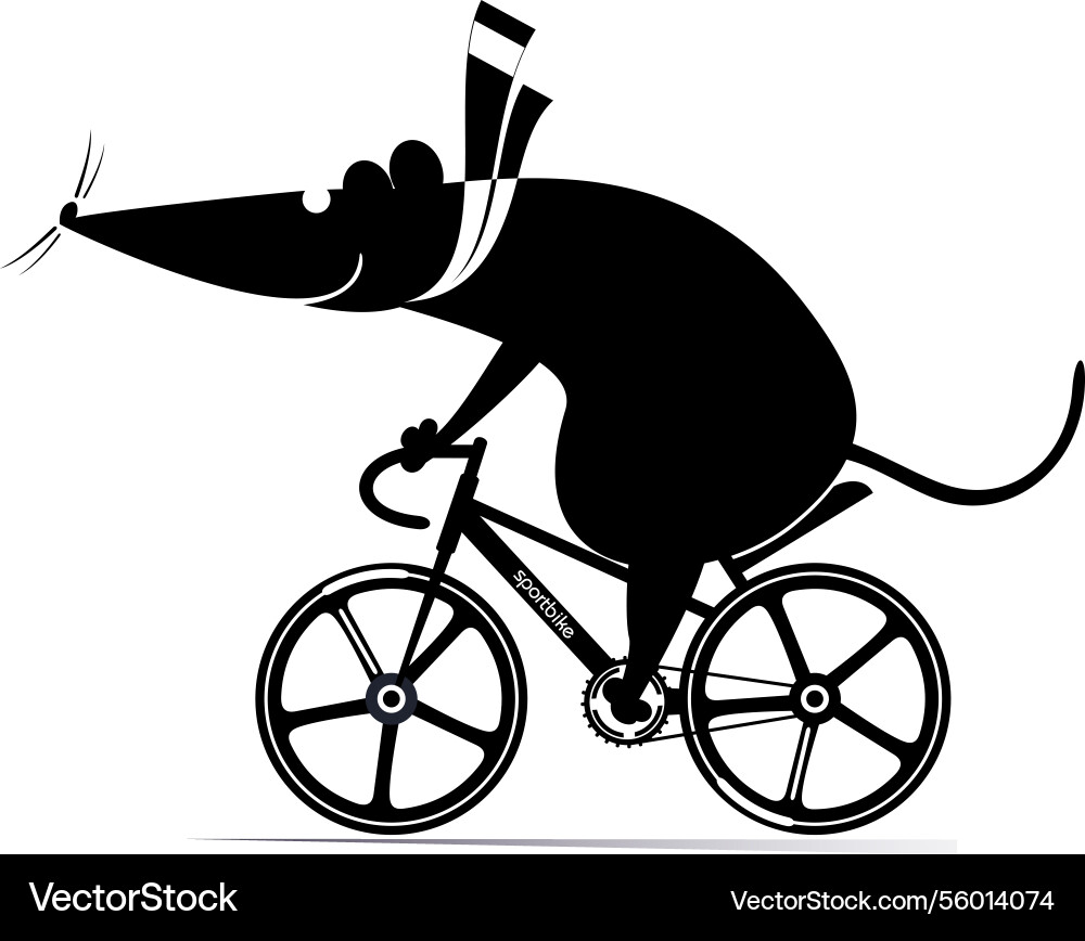 Cycling cute rat or mouse rides a bicycle Vector Image