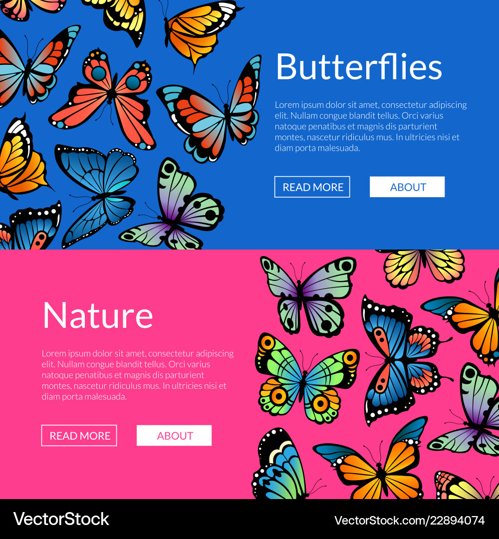 Decorative butterflies web banner templates Vector Image