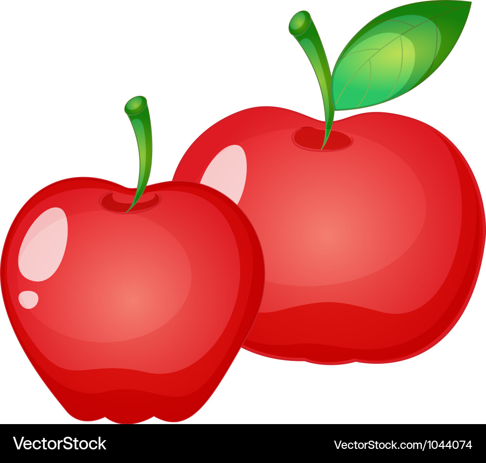 Fruit Royalty Free Vector Image - VectorStock