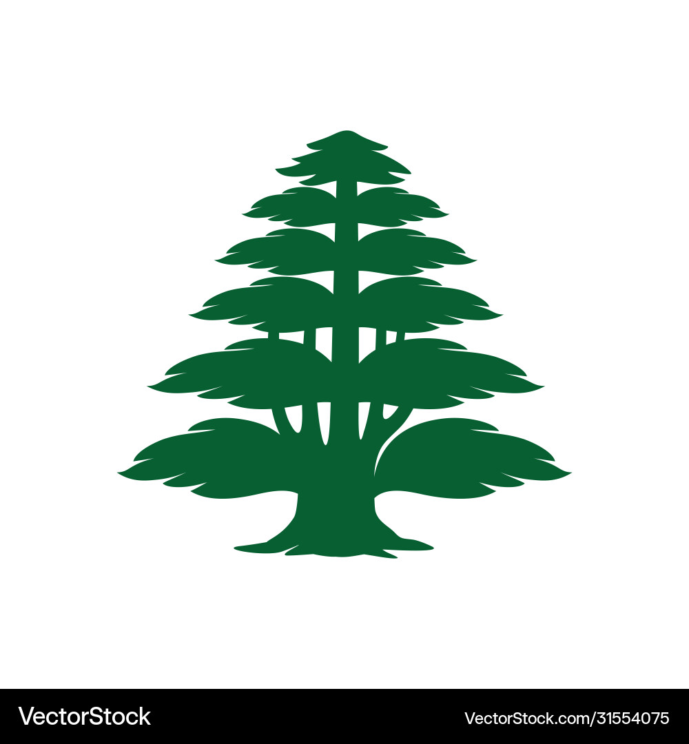 Cedar tree icon Royalty Free Vector Image - VectorStock