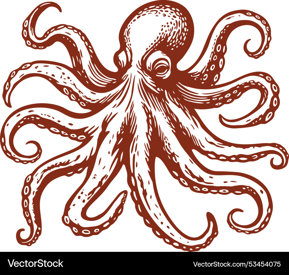 Classic hand drawing octopus Royalty Free Vector Image